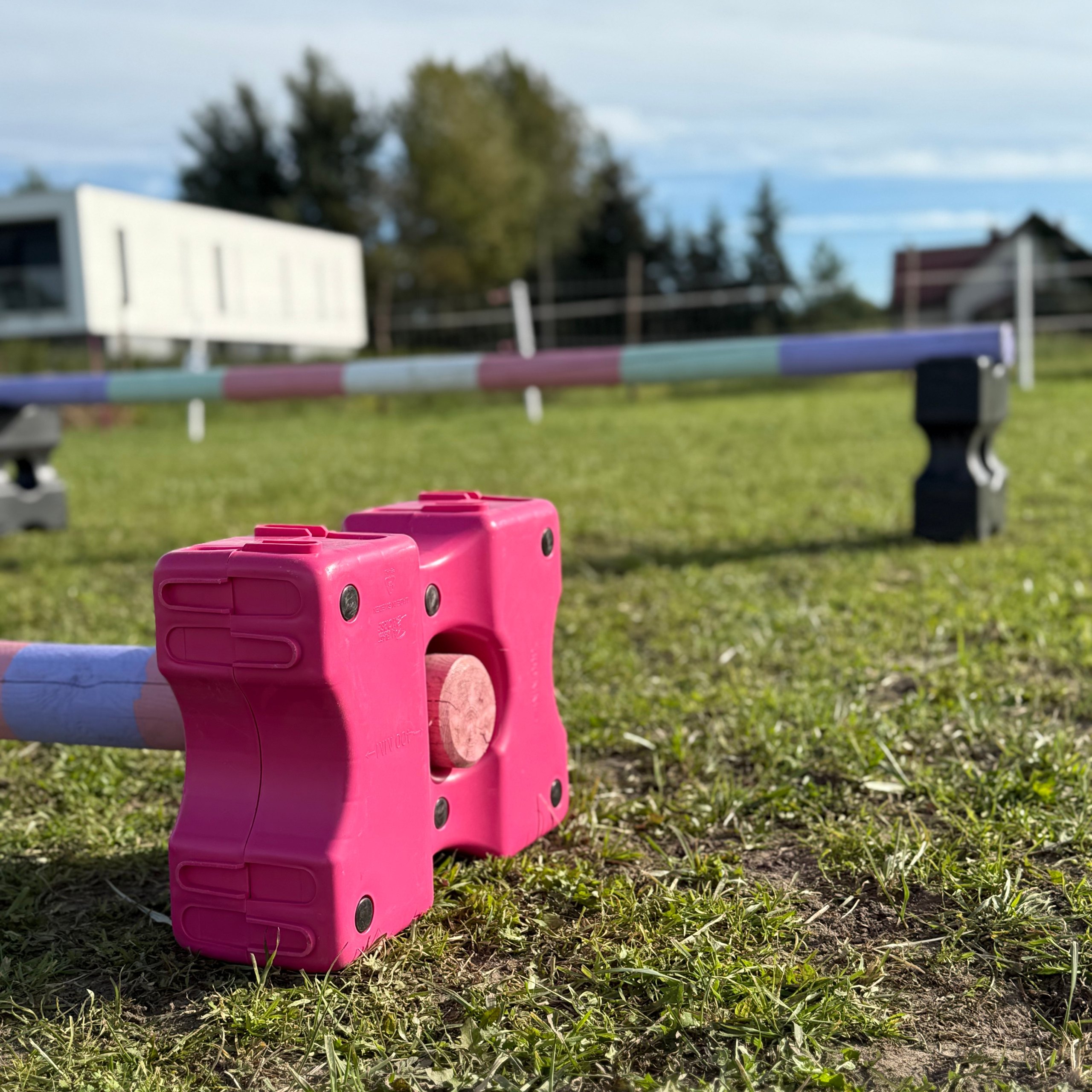 Cavaletti dla koni – jak zacząć trening i dlaczego warto?